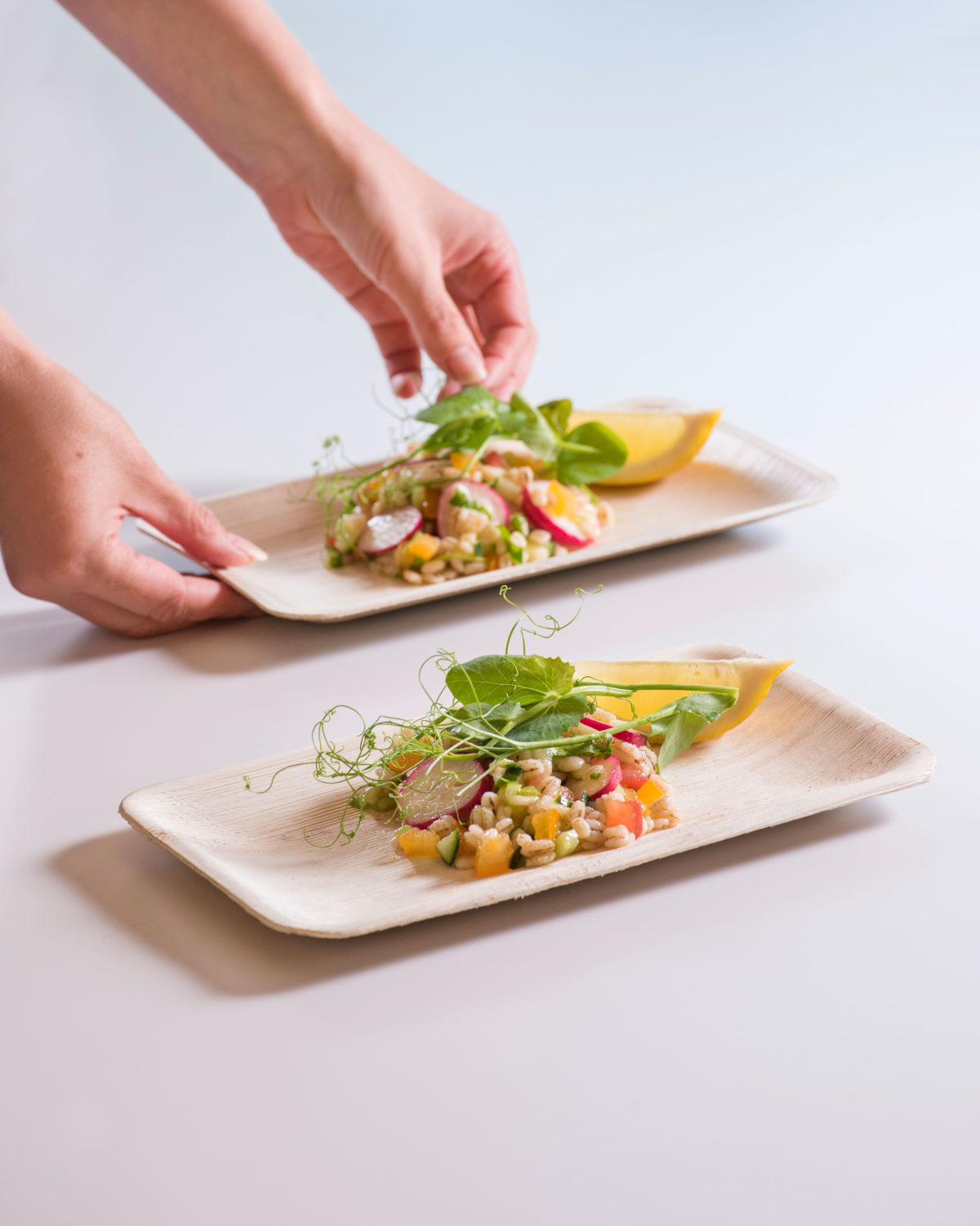 Maku Kitchen Life - Tammer Brands